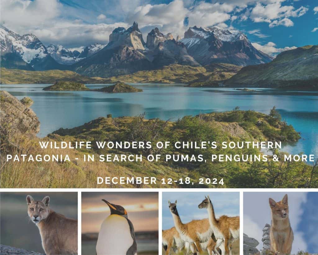 Custom Nature Based Travel | Wildlife Tourism | Group Trips