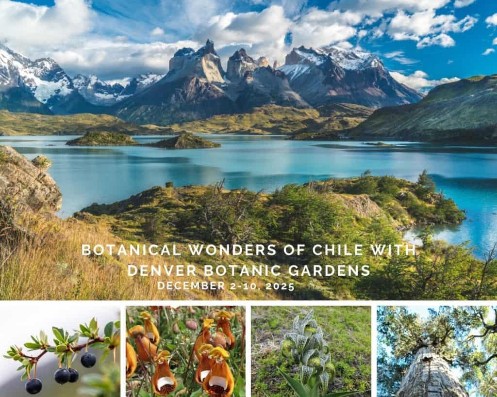 Custom Nature Based Travel | Wildlife Tourism | Group Trips